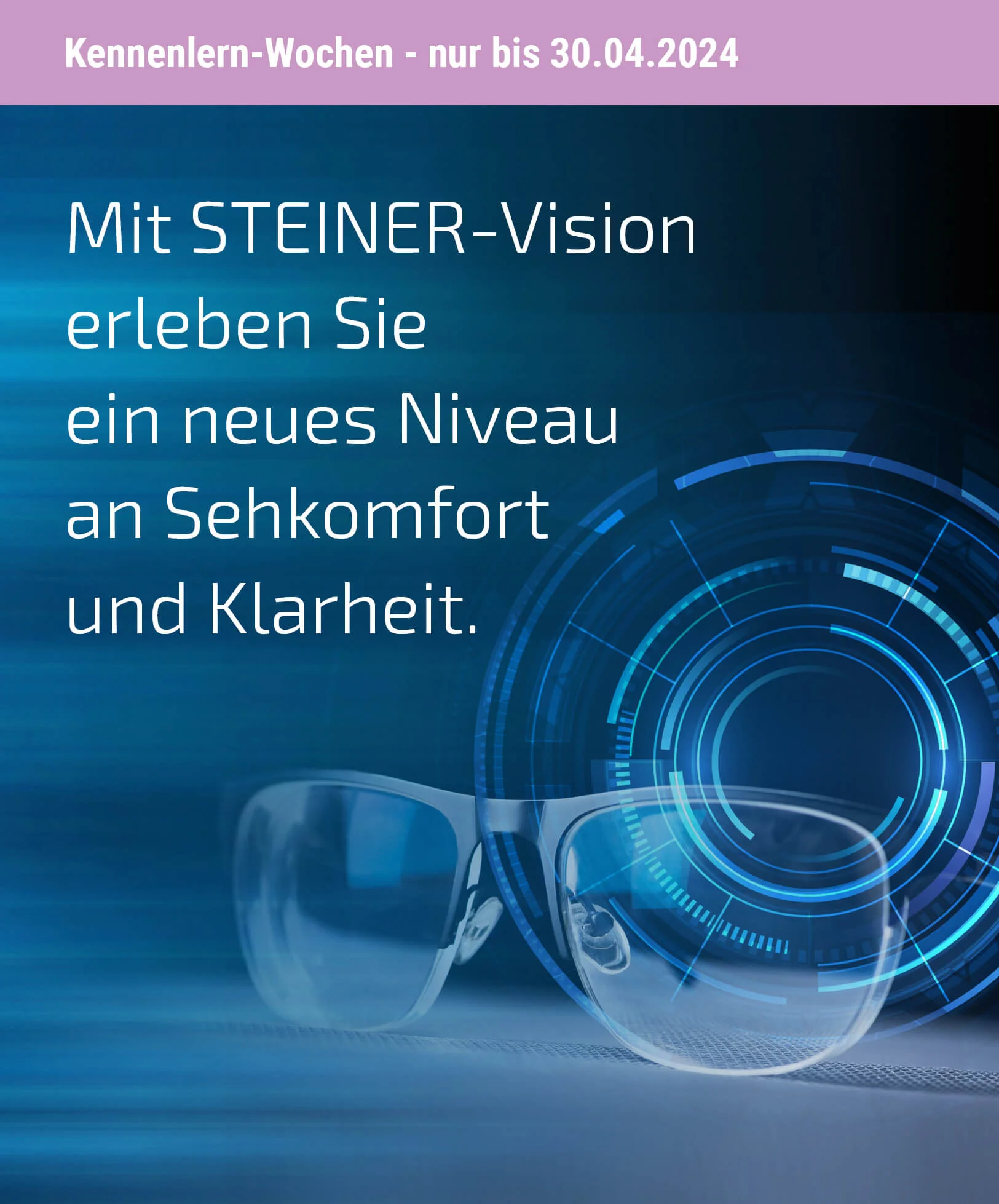 steiner-vision.de